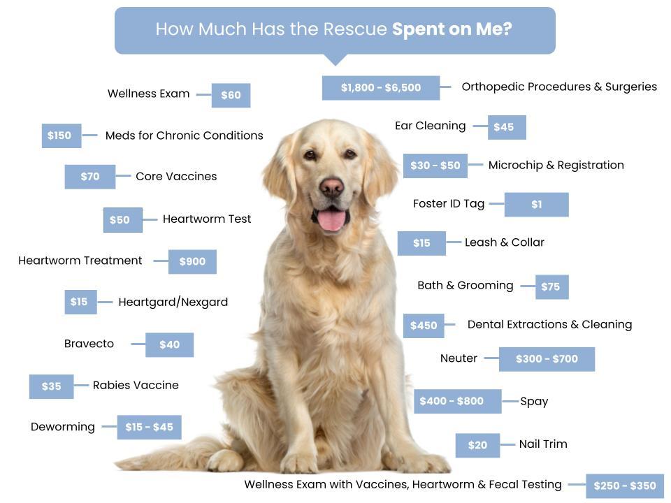 Adoption Fees – Gold Ribbon Rescue