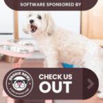 Gold Ribbon Rescue – Rescuing Goldens and Changing Their Lives Forever